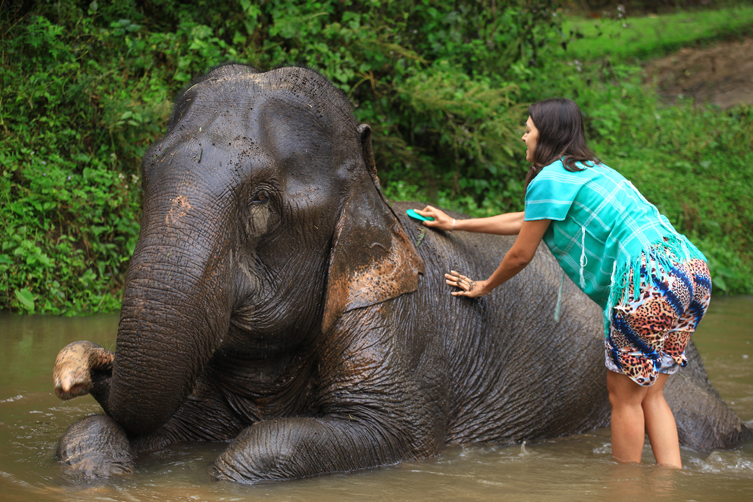 Sanktuarium słoni w Tajlandii - TOP 10 Najlepsze miejsca