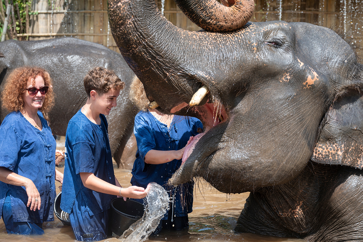 Sanktuarium słoni w Tajlandii - TOP 10 Najlepsze miejsca